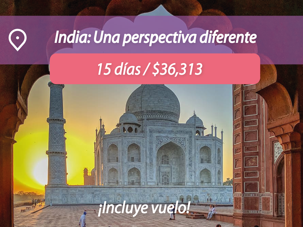 ¡Incluye vuelo! ️ ¡Lo mejor de India en 15 días! Himalaya, elefantes ...